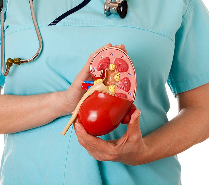 Graduate Certificate in Renal Nursing | IHM